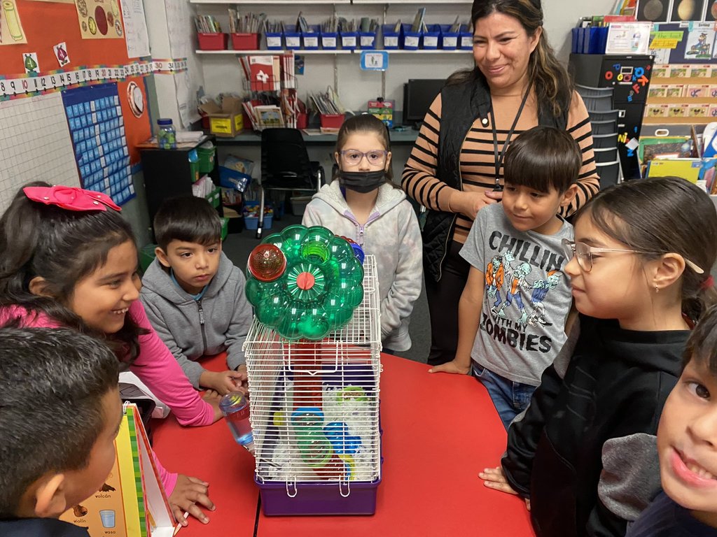 Live Feed | Hempstead Elementary