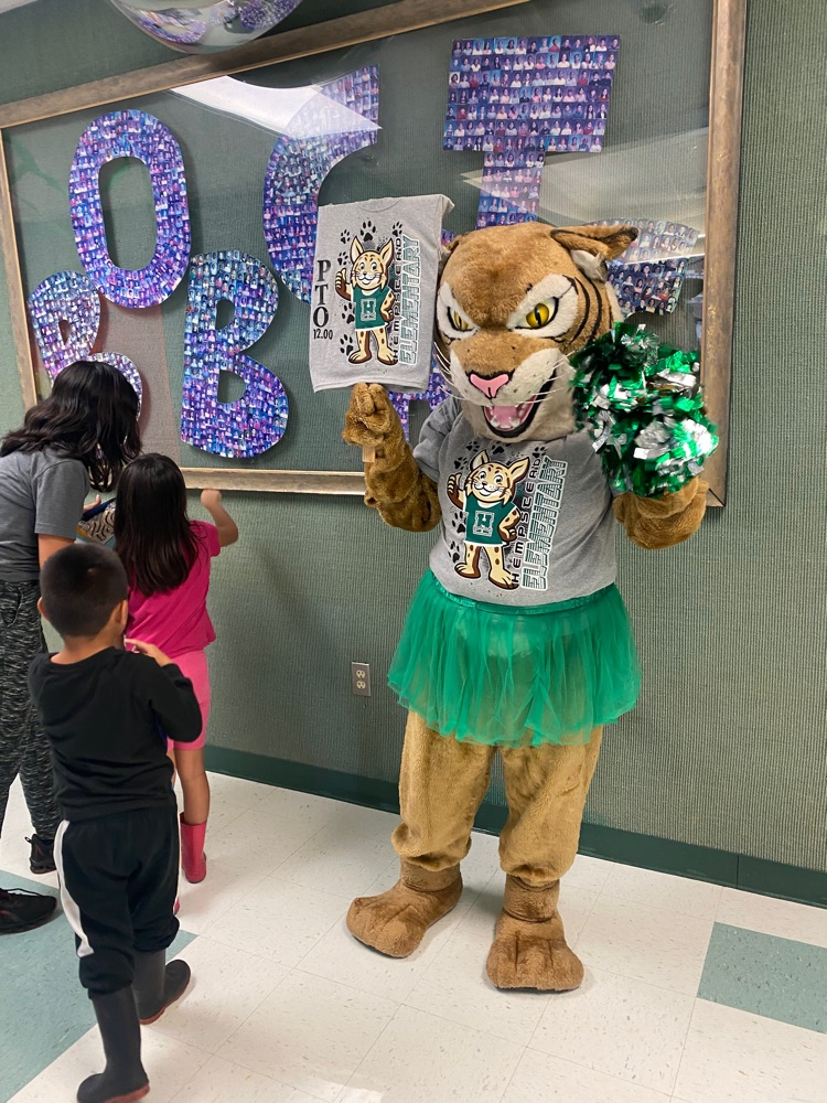 Live Feed | Hempstead Elementary