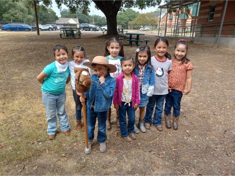 Live Feed | Hempstead Elementary